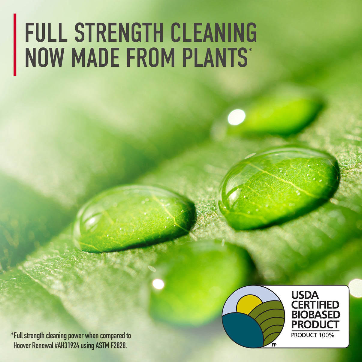 Pure Essentials Pre-Treat Solution (2-pack) – Hoover