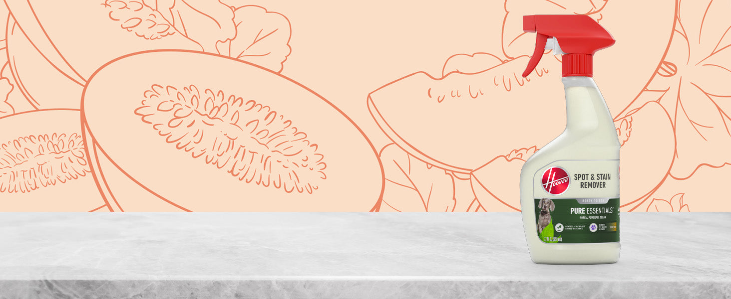 Pure Essentials Pre-Treat Solution (2-pack) – Hoover