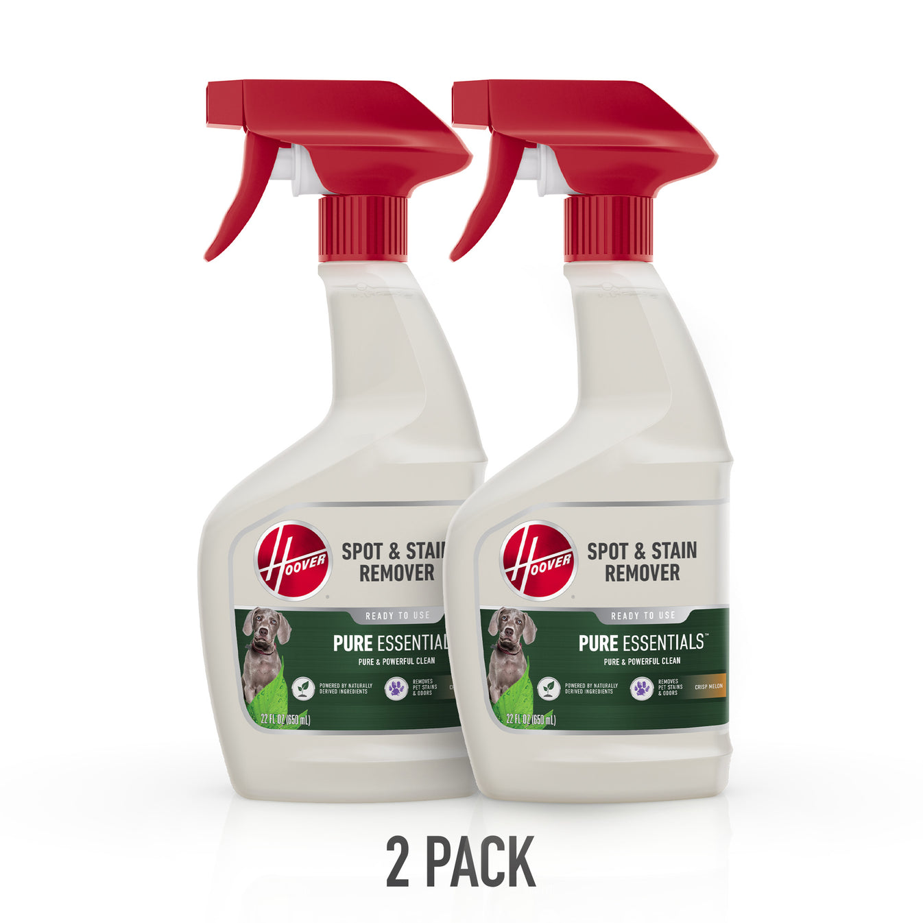 Pure Essentials Pre-Treat Solution (2-pack) – Hoover