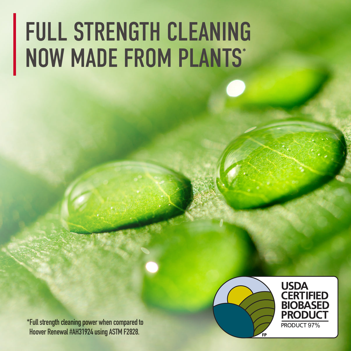 Pure Essentials Carpet Cleaning Solution 50 oz. – Hoover