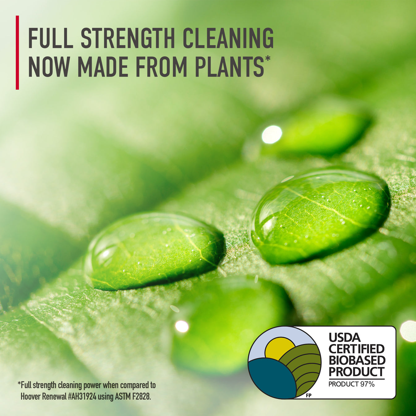 Pure Essentials Carpet Cleaning Solution 128 oz. – Hoover