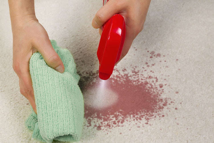 The Right Way to Deep Clean Your Car – Hoover